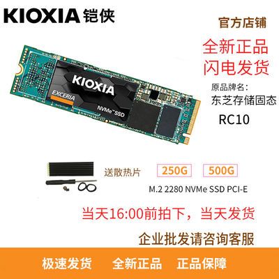 Kioxia/铠侠RC10 西数SN550 500G 1T m.2固态硬盘nvme ssd台式机_拼多多返利优惠券 - 一起惠返利网_178hui.com